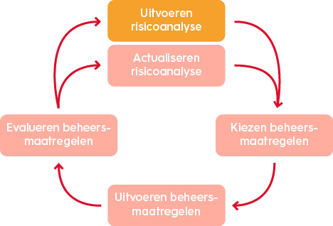 Realiseren